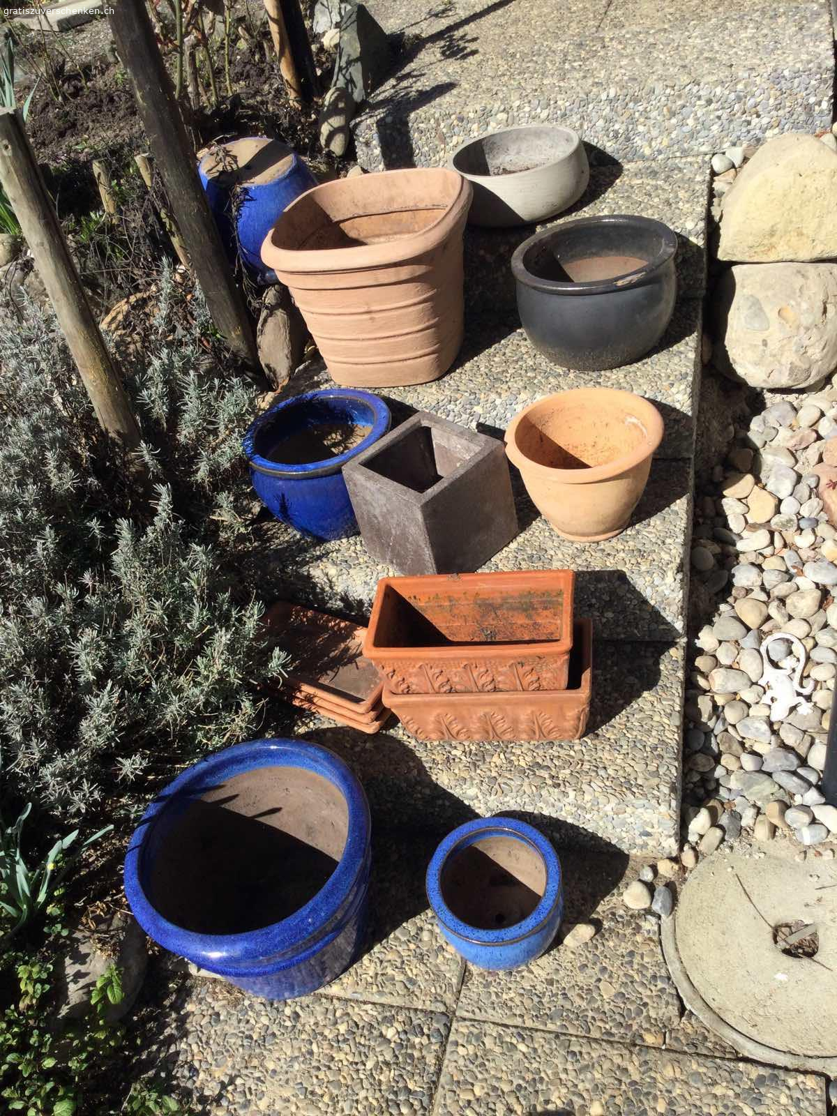 Garten In Dresden Zu Verschenken